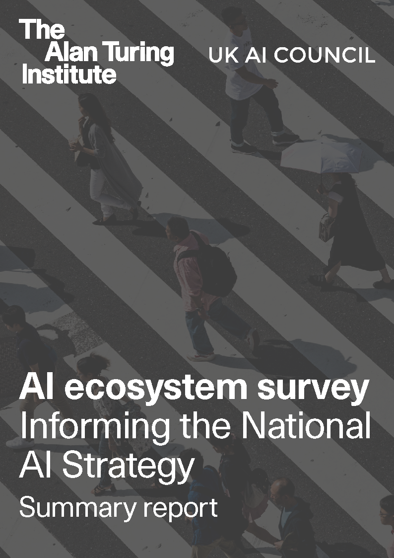 AI ecosystem survey – summary report | The Alan Turing Institute